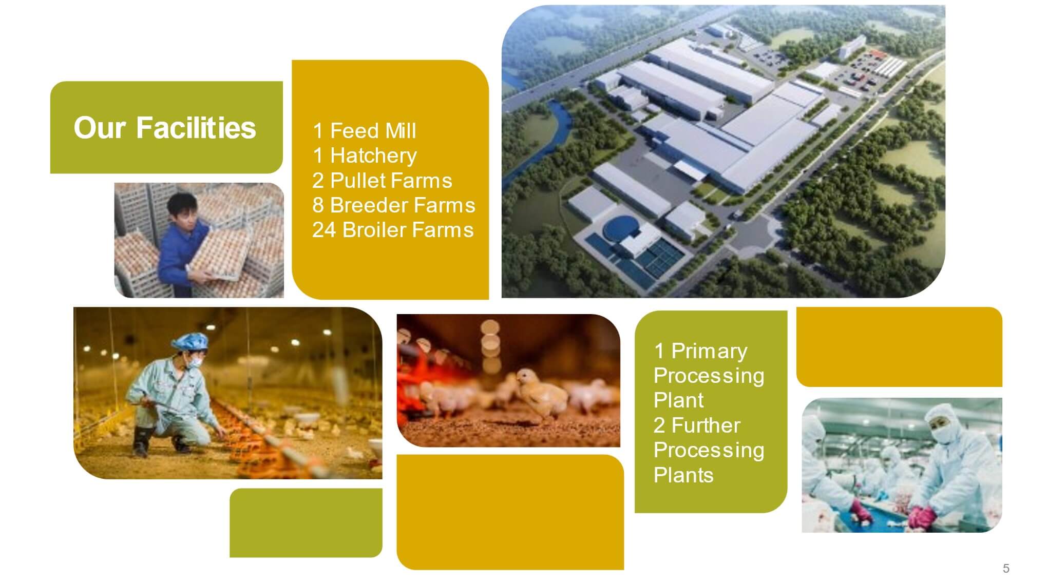 Our Factory - SV Foods